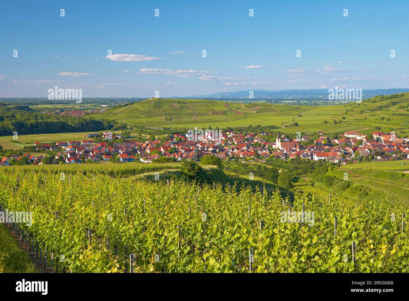 Sasbach am kaiserstuhl hi-res stock photography and images - Alamy
