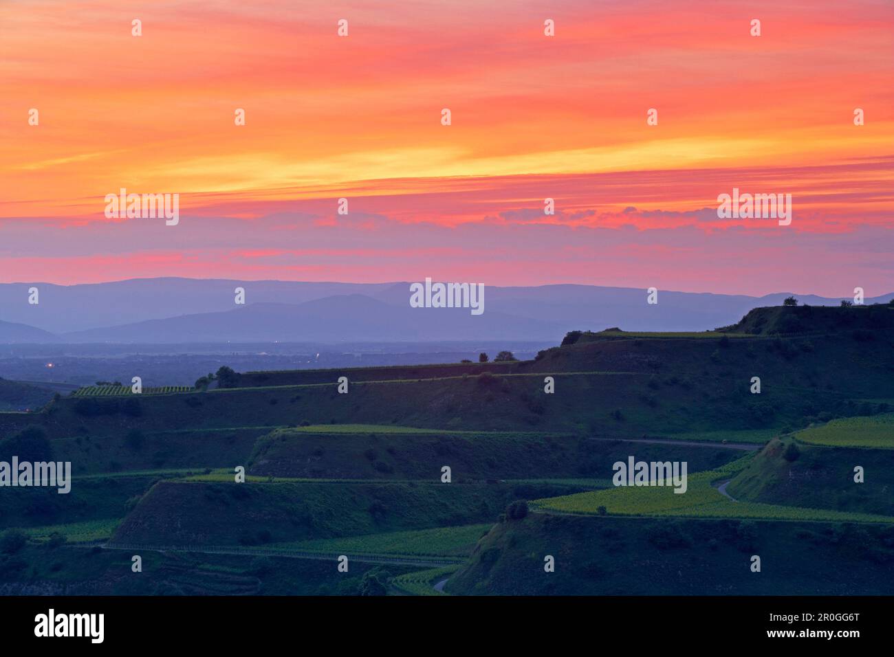 View over vineyards tot Vosges Mountains in sunset, Kaiserstuhl, Baden-Wurttemberg, Germany ...