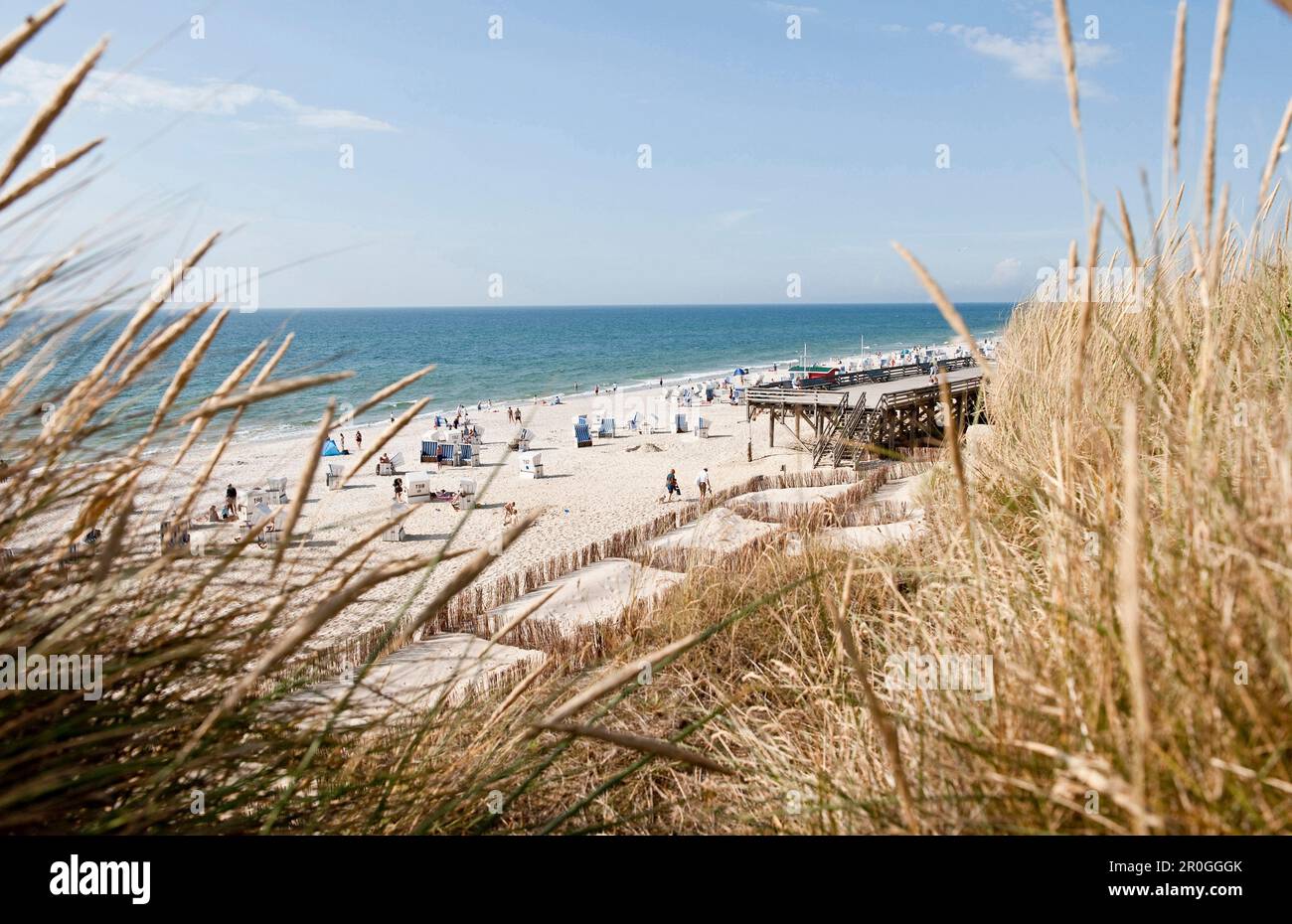 Dunes at red cliff in kampen hi-res stock photography and images - Alamy