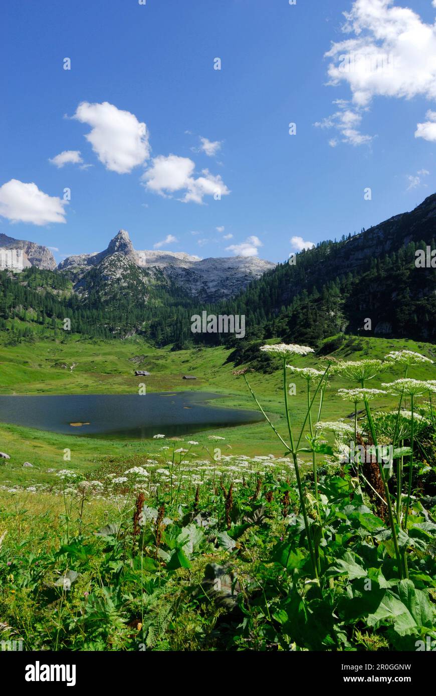 Lake Funtensee in front of Schottmalhorn, Berchtesgaden national park ...