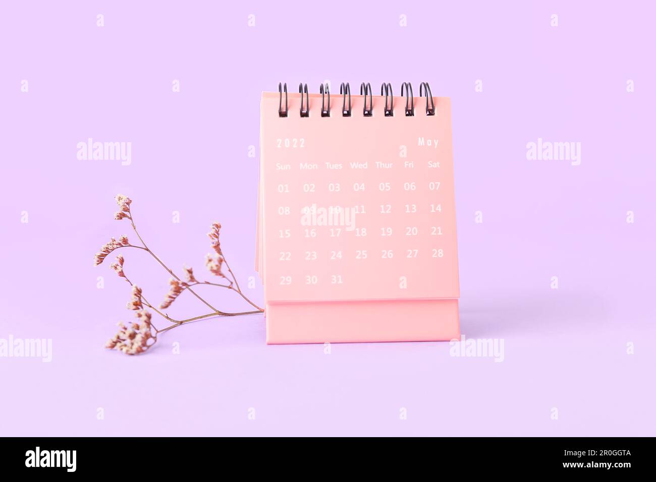 Flip paper calendar for May and flowers on purple background Stock ...
