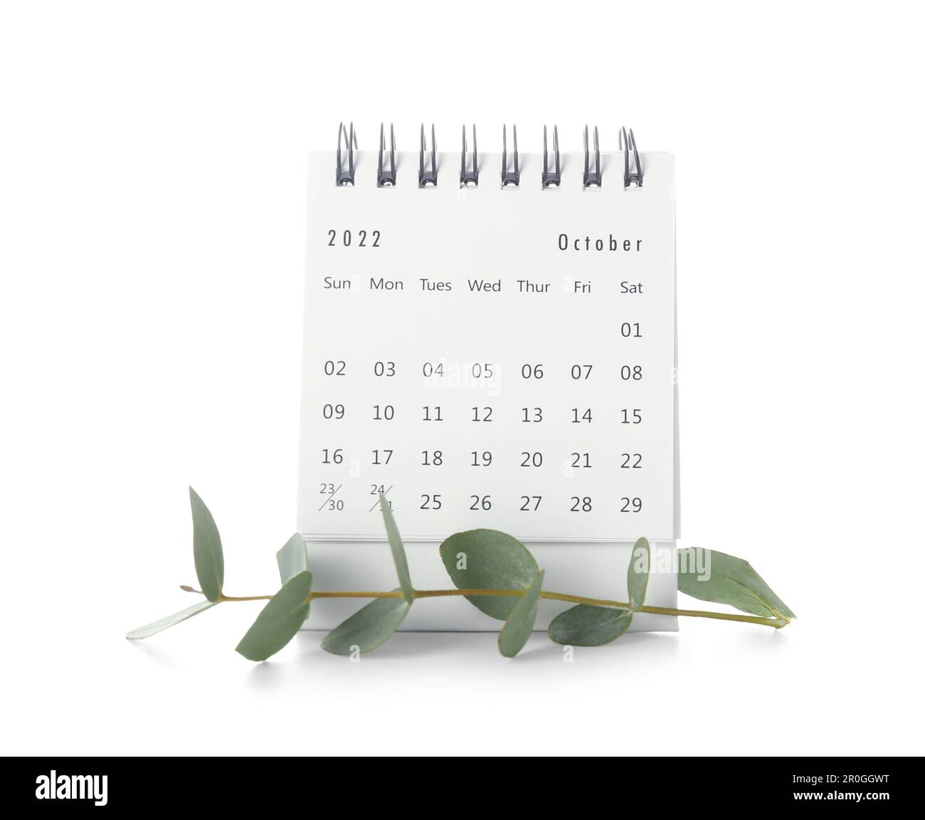 Flip paper calendar for October and eucalyptus branch on white ...