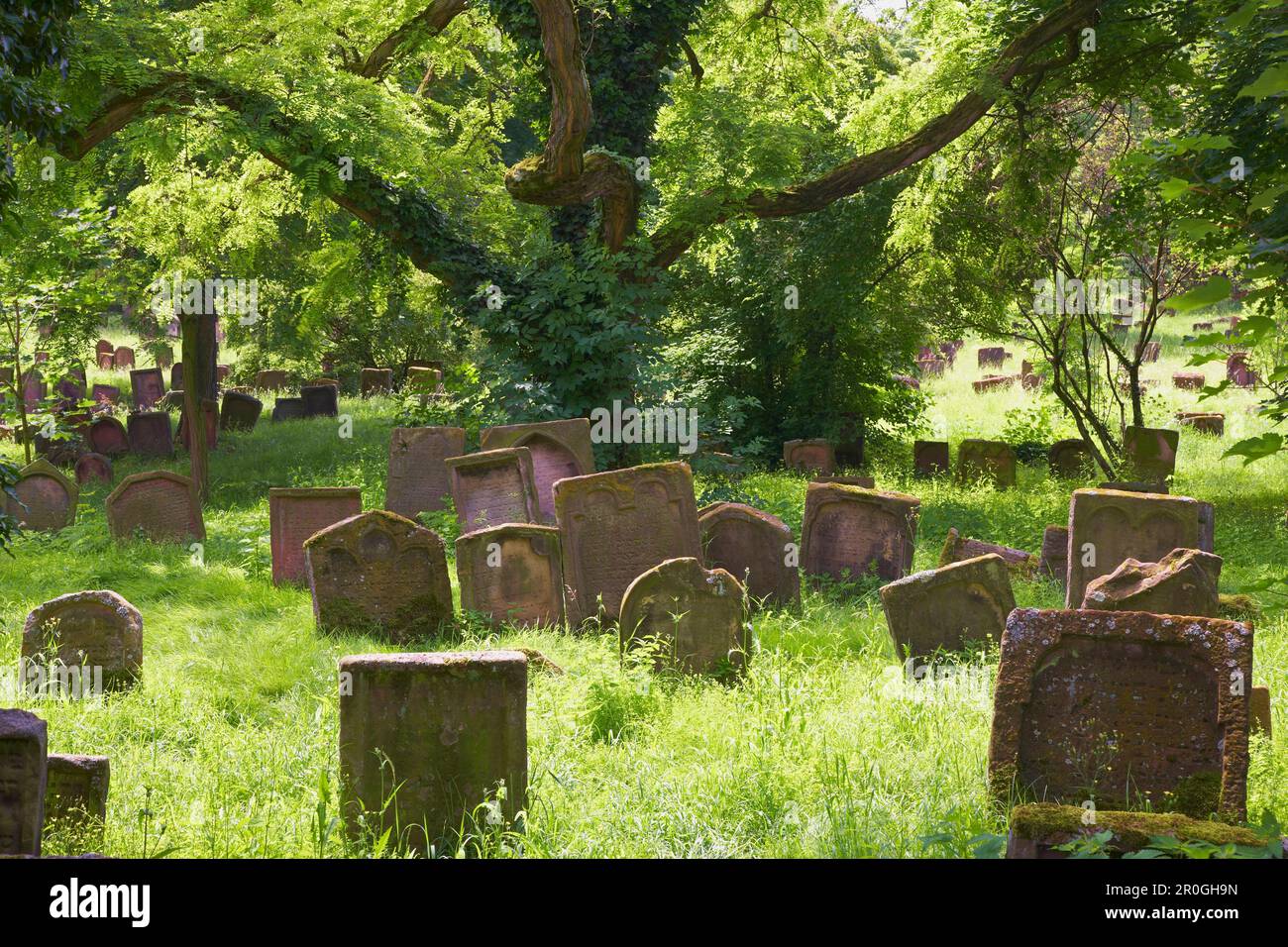 Jewish cemetery Holy Sand, Worms, Rhineland-Palatinate, Germany Stock ...