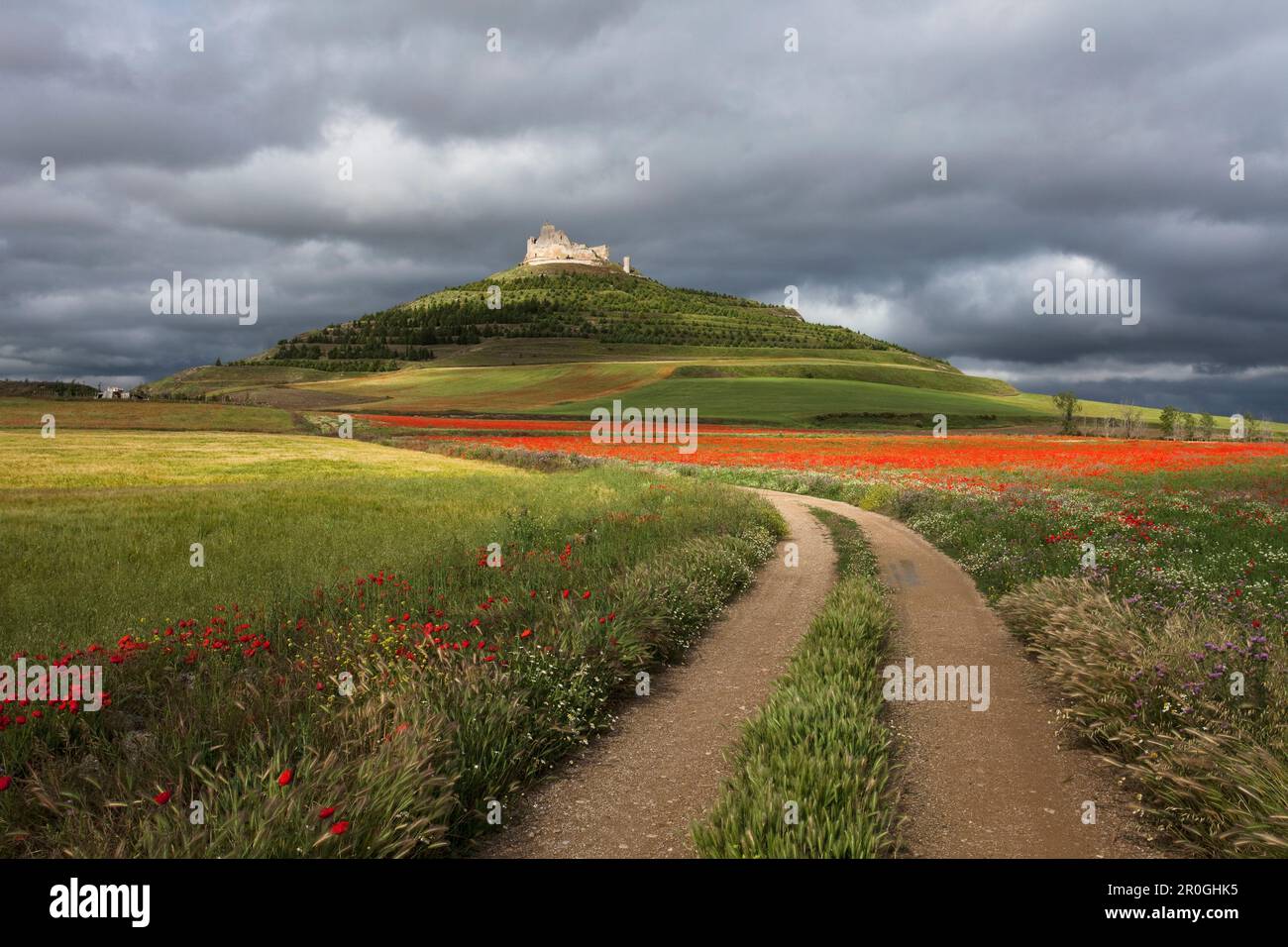 Castle ruins Castrum Sigerici from the 8th century, Castrojeriz, Camino ...