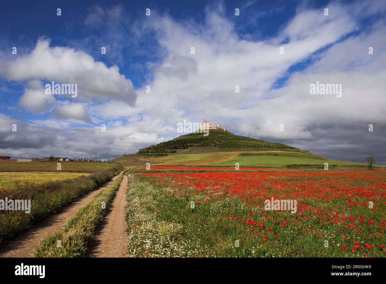 Castle ruins Castrum Sigerici from the 8th century, Castillo ...