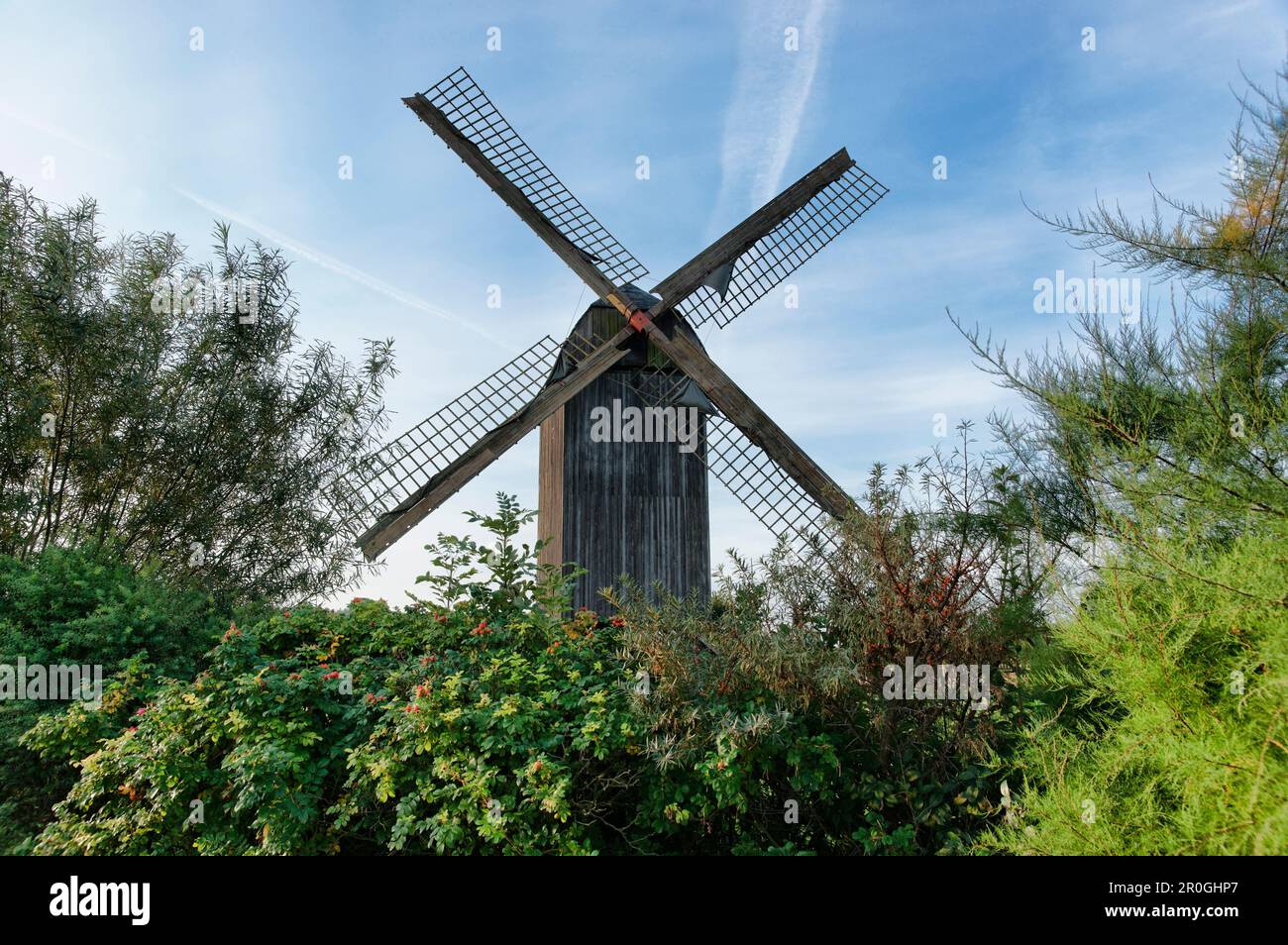 Mill worms hi-res stock photography and images - Alamy