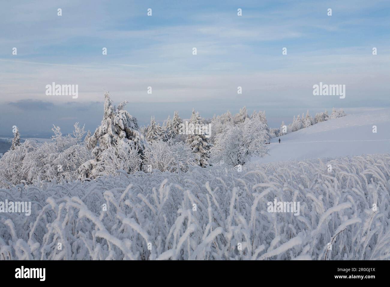 Winter stroll on Wasserkuppe Mountain, near Gersfeld, low mountain ...