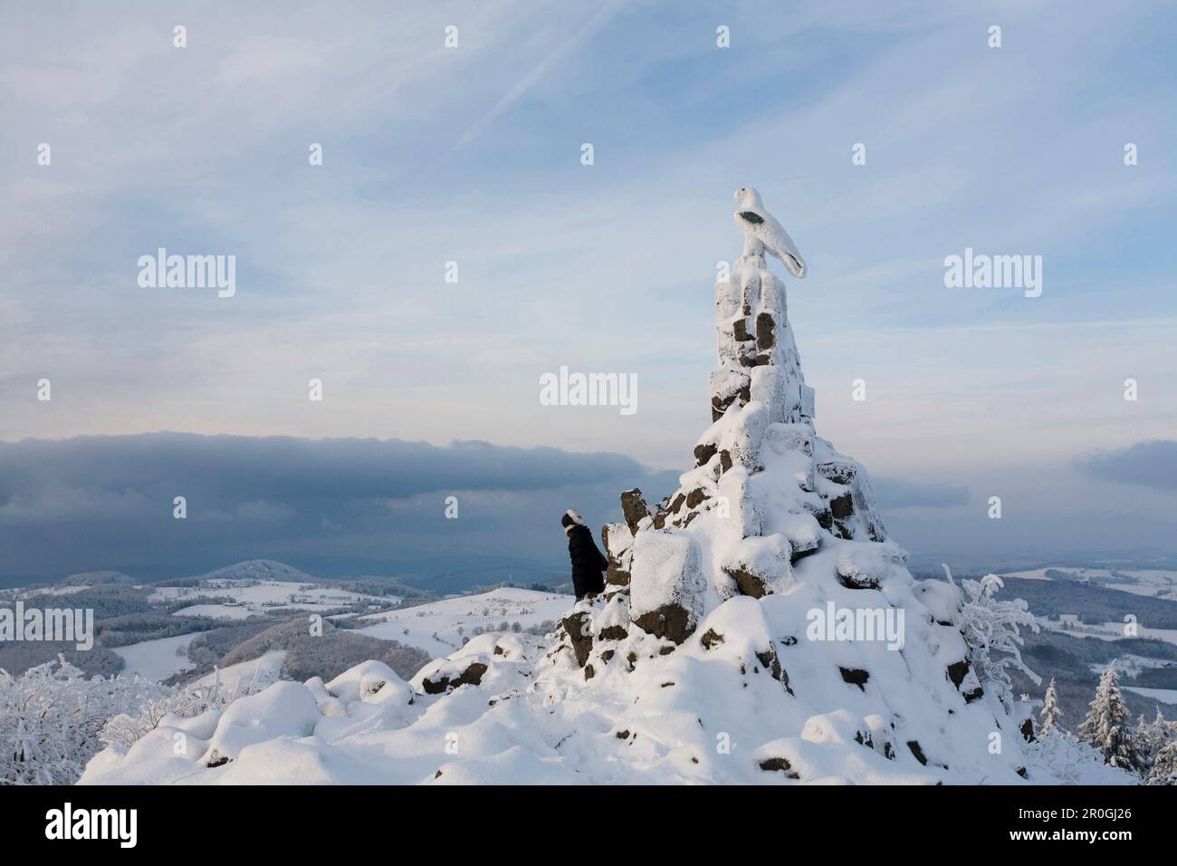 Snow- covered Aviator Monument near Gersfeld, Wasserkuppe, low mountain ...