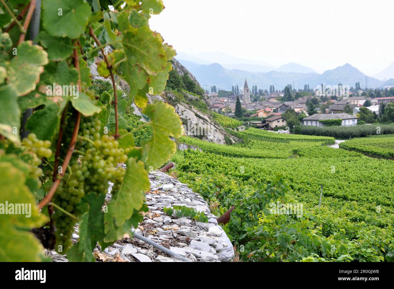 Valais wine region switzerland hi-res stock photography and images - Alamy