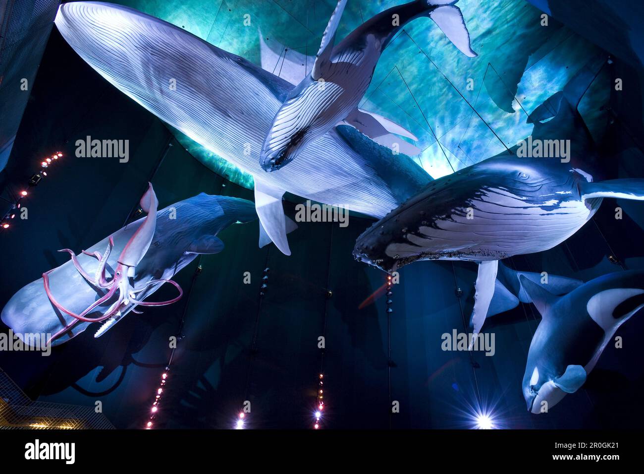 Hall of fishes exhibition hi-res stock photography and images - Alamy