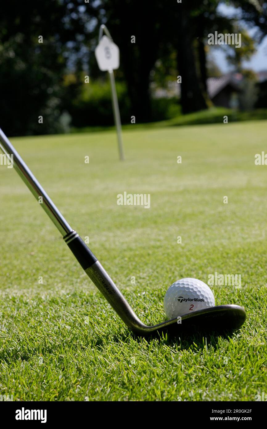 Golf ball and golfclub, Prien am Chiemsee, Bavaria, Germany Stock Photo ...