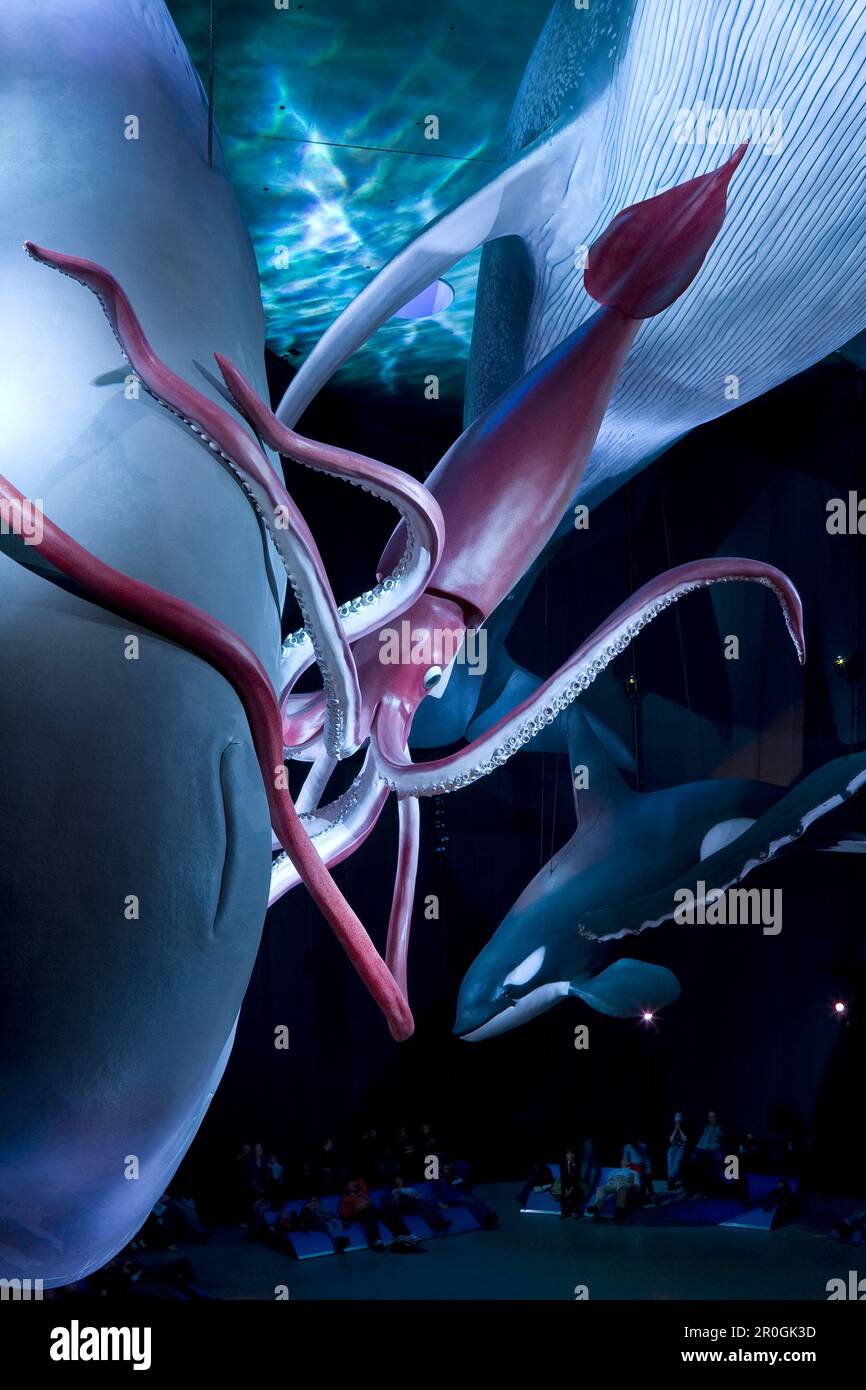 Life journey from fish to human hi-res stock photography and images - Alamy