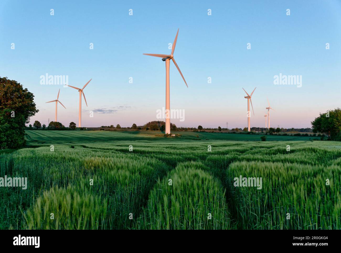 Wind Park near Mildstedt, Schleswig-Holstein, Germany Stock Photo - Alamy