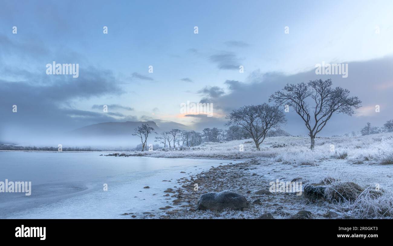 A pristine winter seascape featuring a beach shoreline with sand dunes ...
