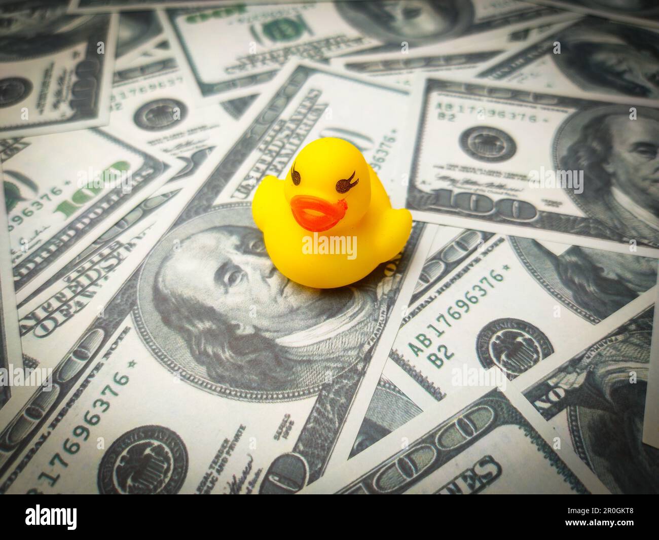 The yellow rubber duck on a pile of money of hundred dollar bills Stock ...