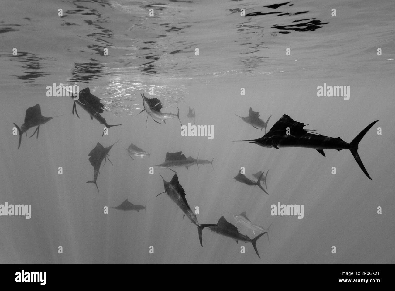 0 geography Black and White Stock Photos & Images - Alamy