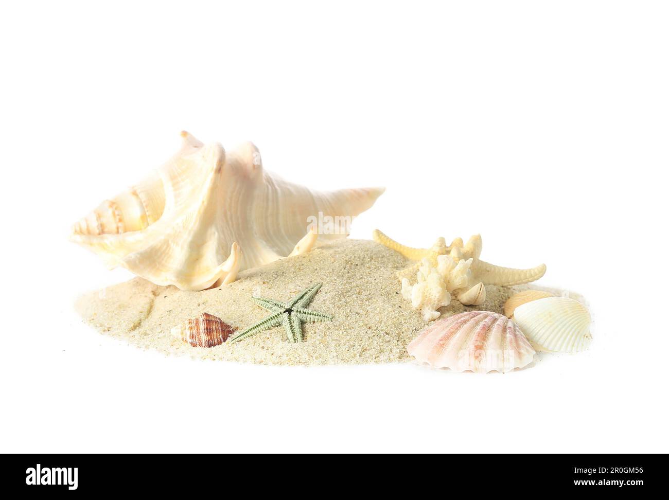 Sand with seashells and starfishes on white background Stock Photo - Alamy