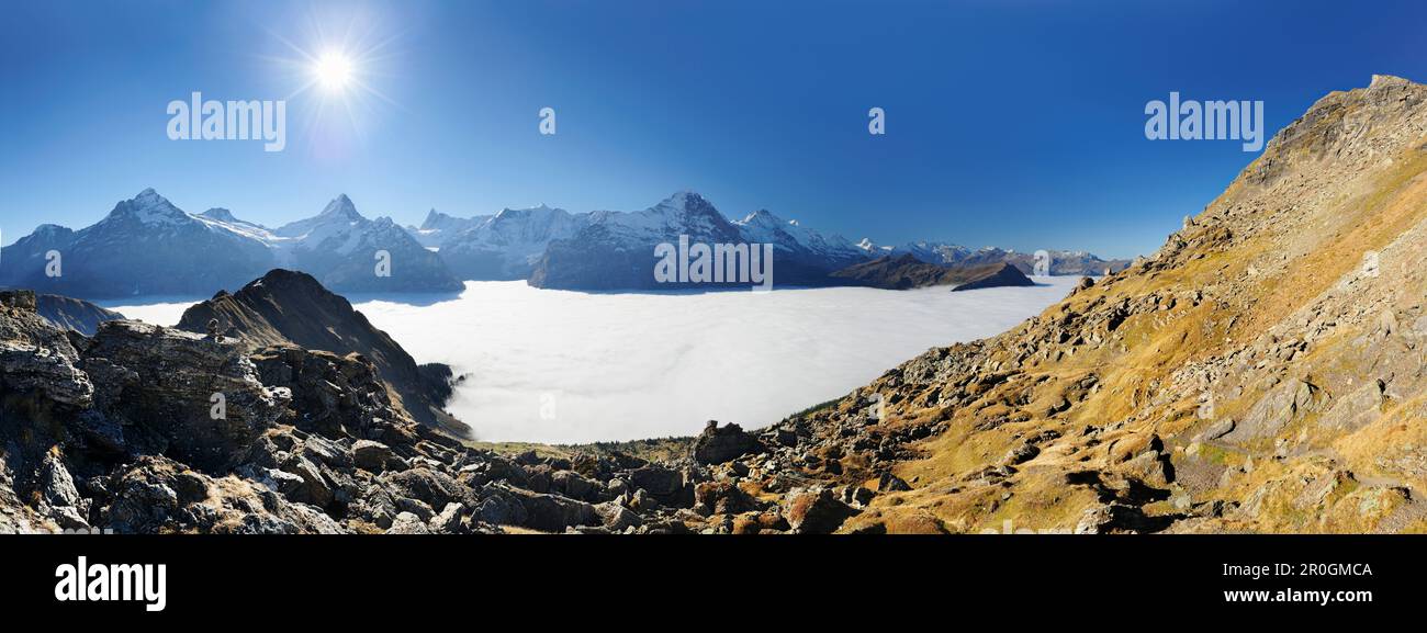 Schreckhorn and finsteraarhorn hi-res stock photography and images - Alamy