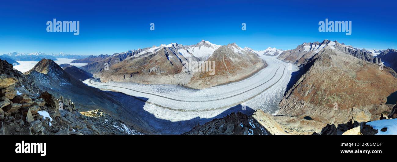 Panorama of glacier Grosser Aletschgletscher with Wallis Alps, Mont ...