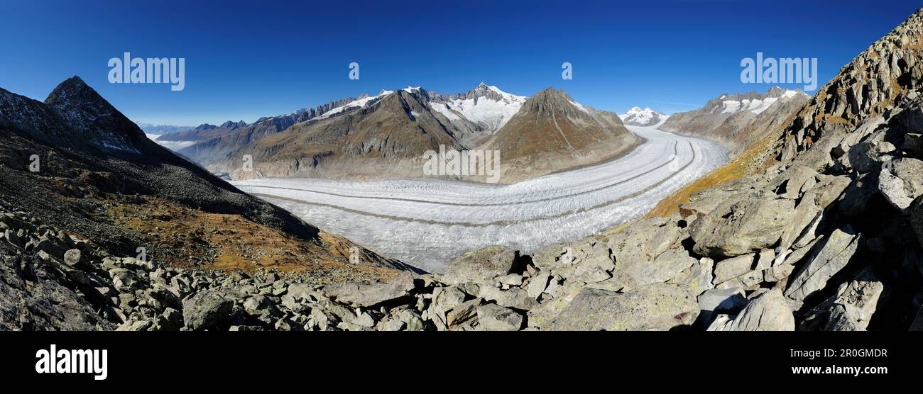 Panorama of glacier Grosser Aletschgletscher with Aletschhorn, Moench ...