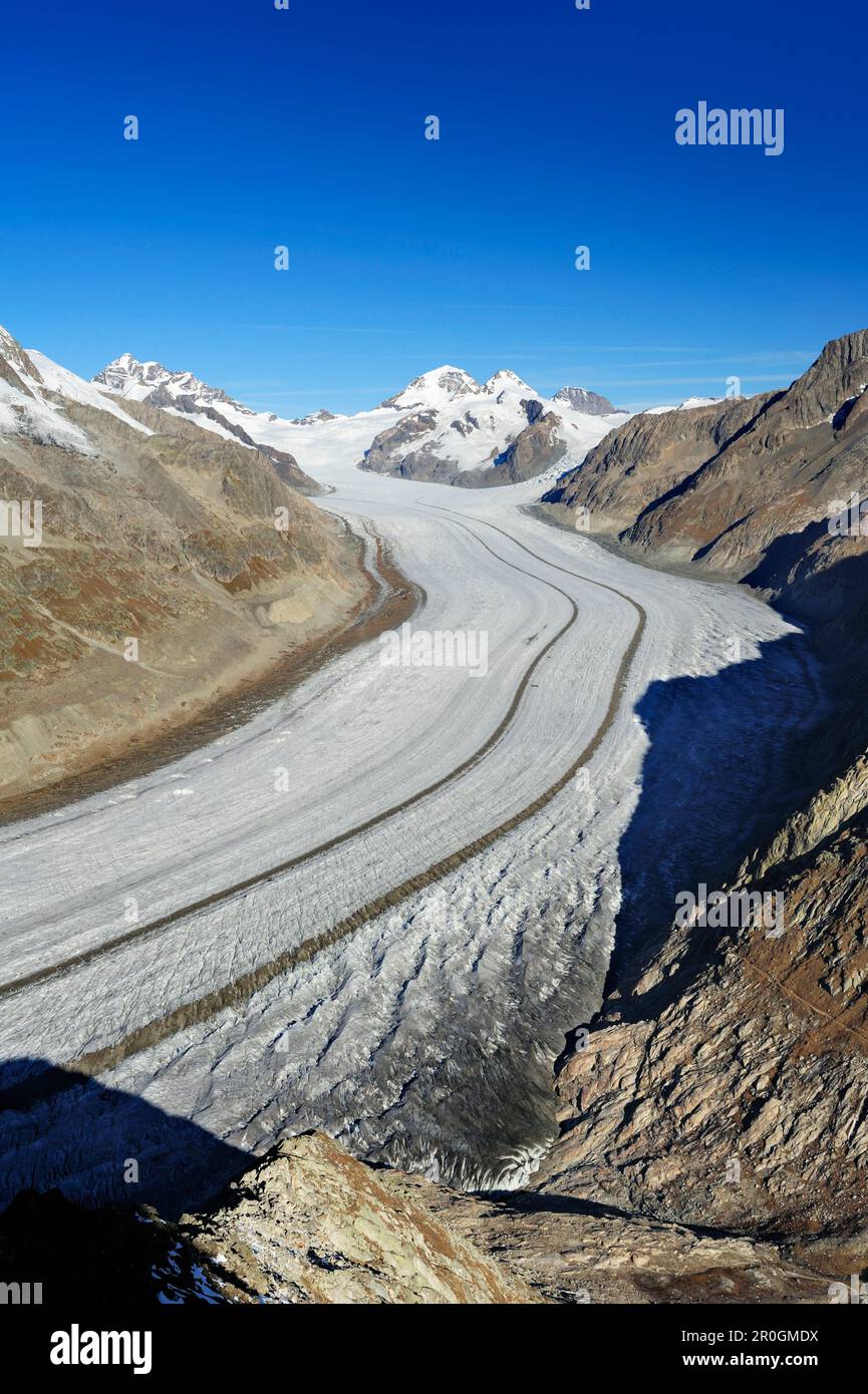 Glacier Grosser Aletschgletscher with Jungfrau, Moench and Eiger ...