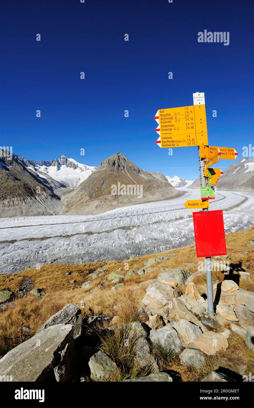 Signpost above glacier Grosser Aletschgletscher with Aletschhorn ...