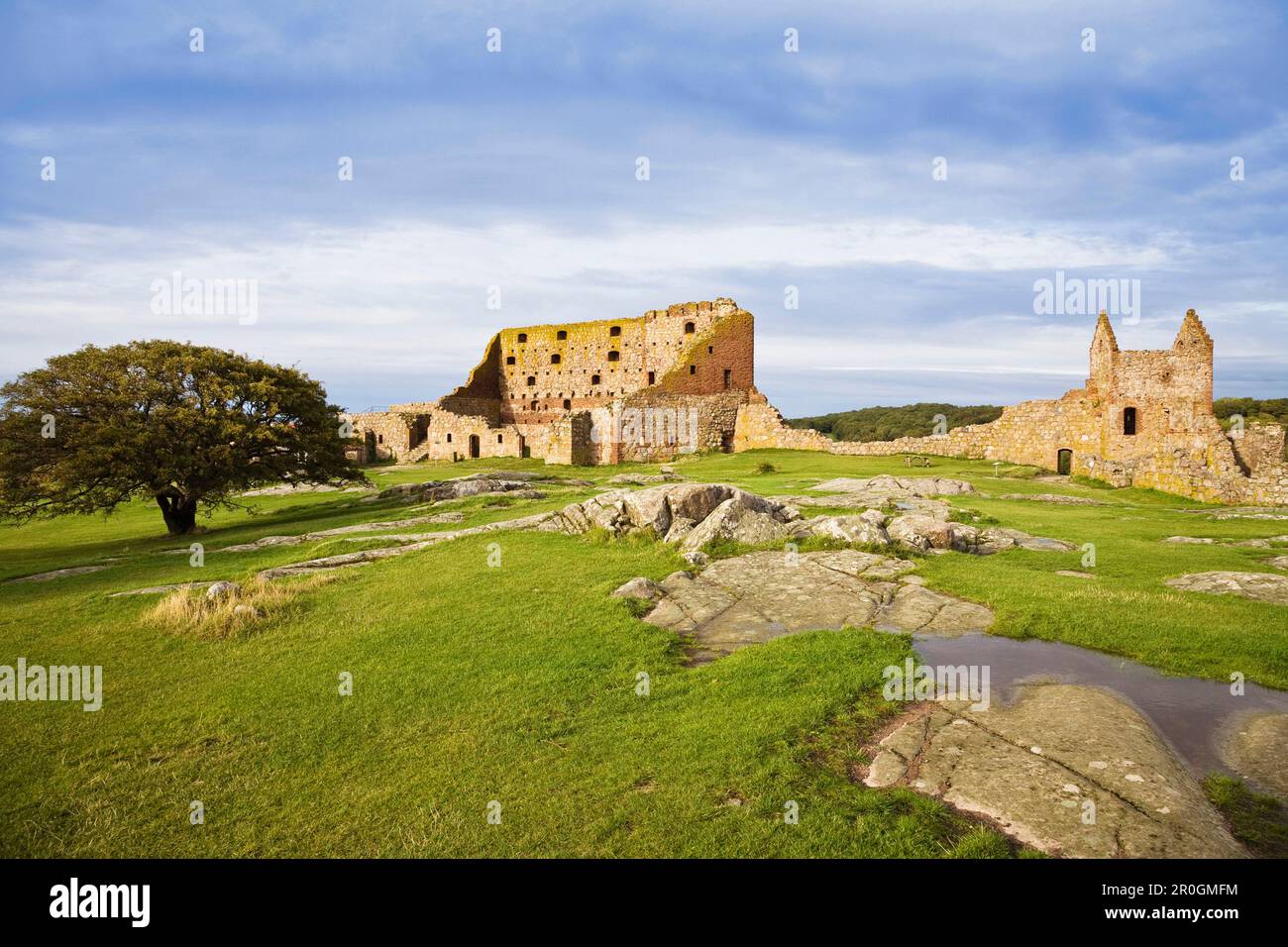 Ruins of Hammershus castle, Bornholm, Denmark Stock Photo - Alamy