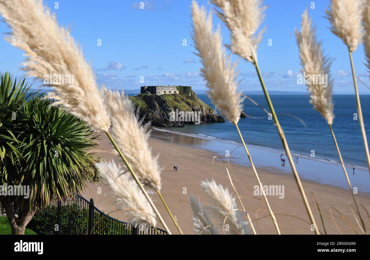 View over beach to St Catherine's Island with castle, Tenby ...