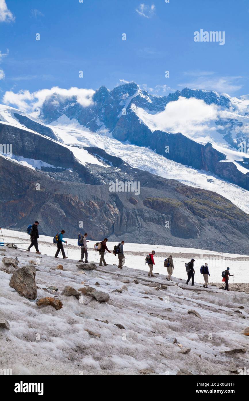 Hikers on a Gorner glacier to Monte Rosa Hut, Breithorn in background ...