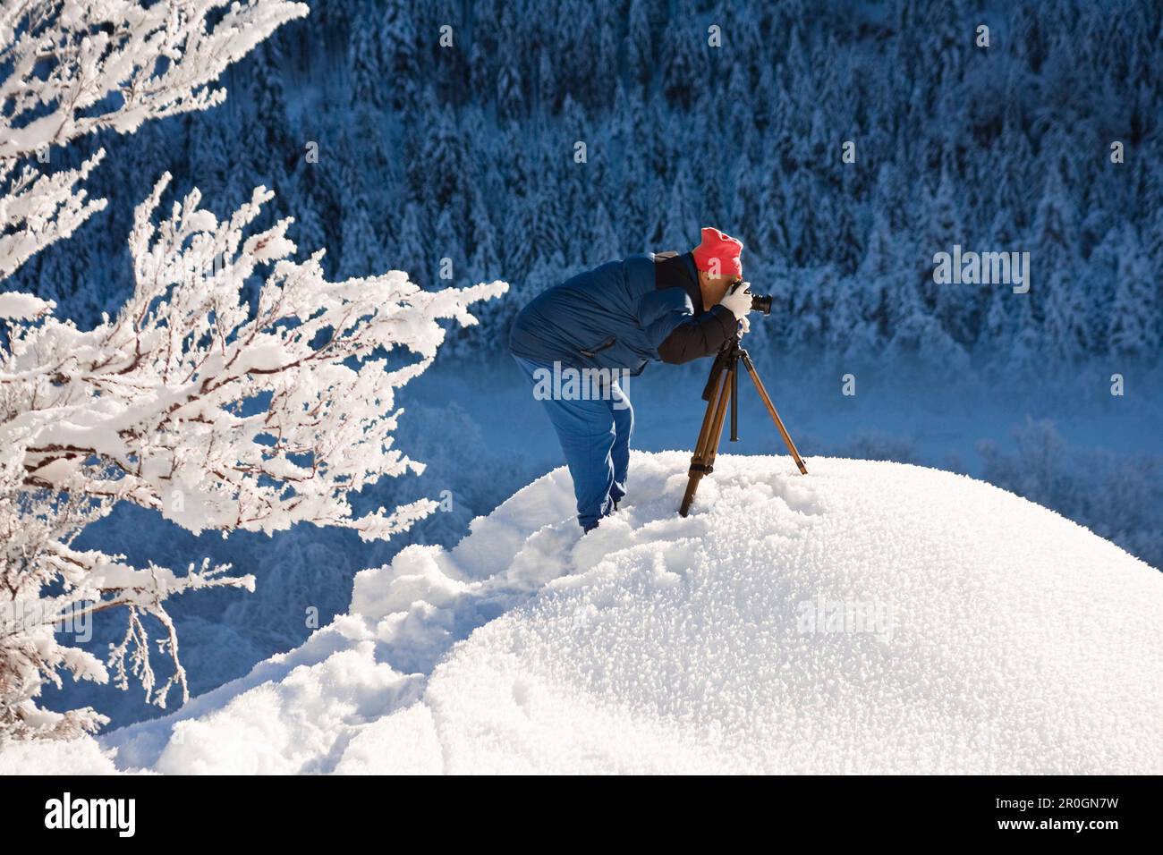 Nature photographer in snow, Upper Bavaria, Germany Stock Photo - Alamy