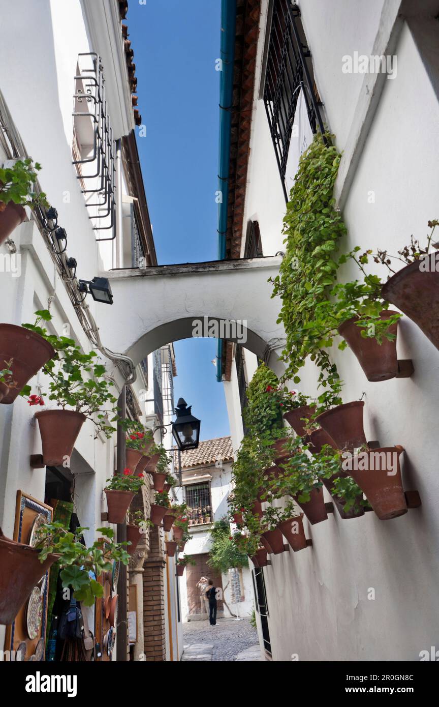 Alleyway cordoba hi-res stock photography and images - Alamy
