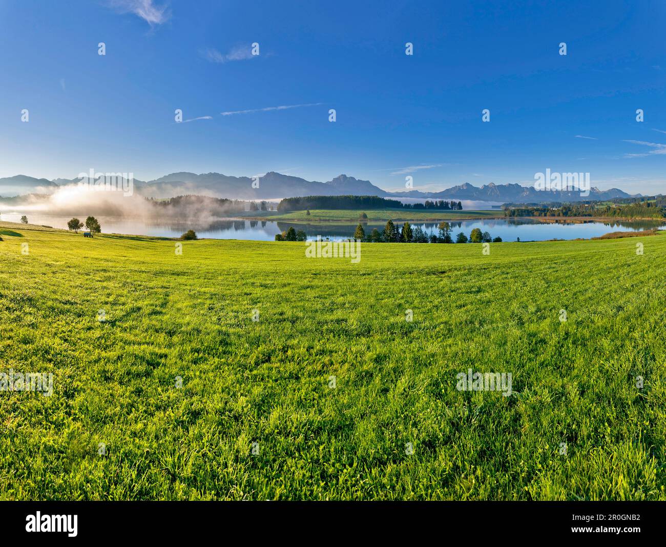 View over lake Forggensee to the alps, Allgaeu, Bavaria, Germany Stock ...