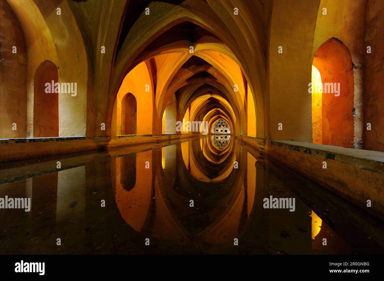 Baths of Lady Maria de Padilla, Alcazar, Seville, Andalusia, Spain ...