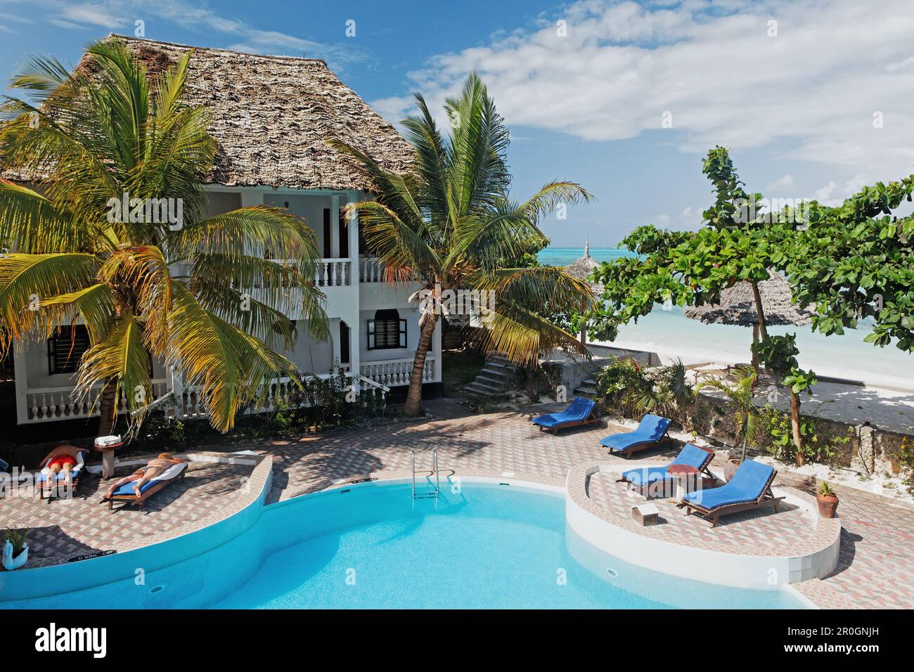 Sau symbol hi-res stock photography and images - Alamy