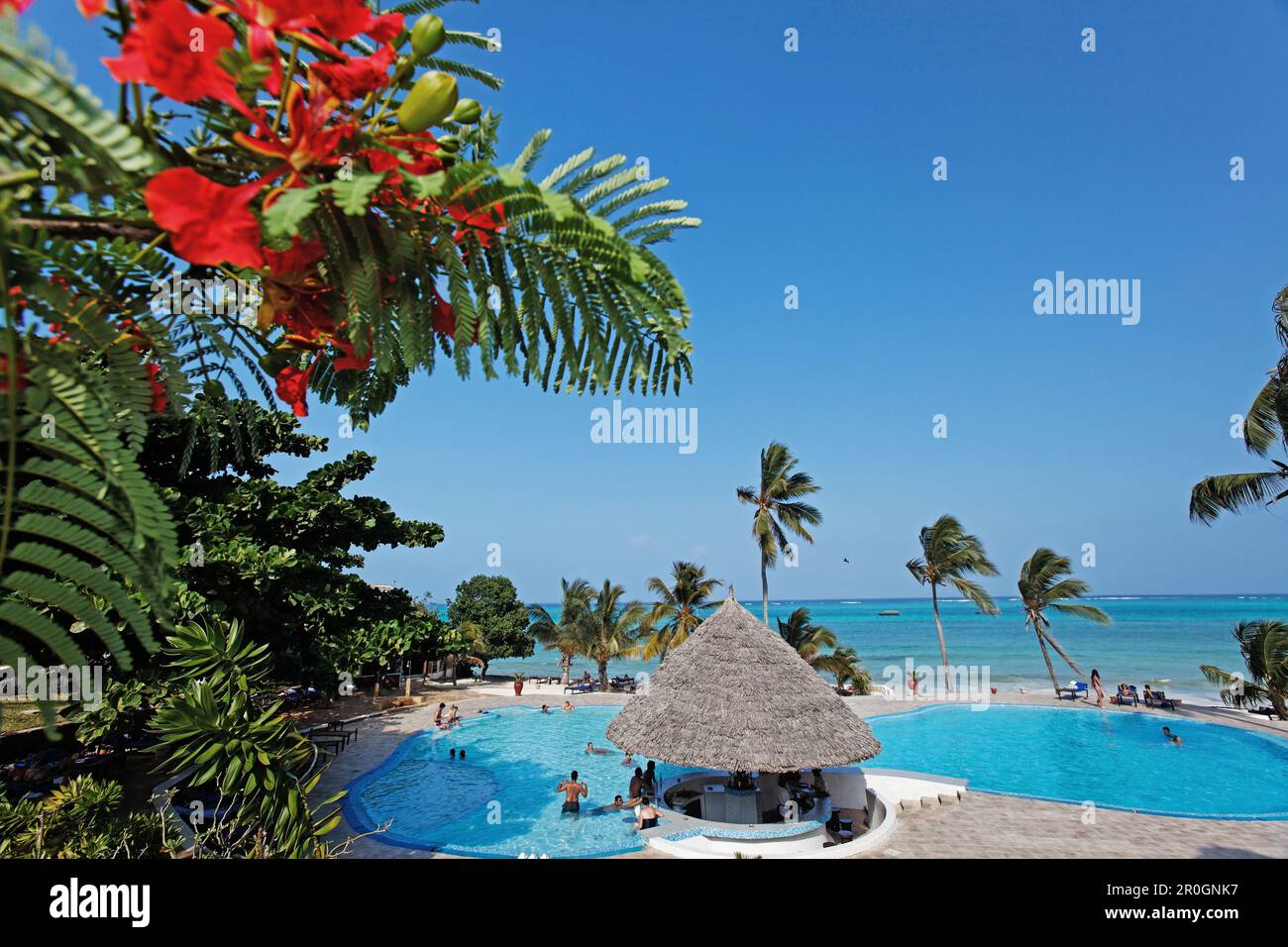 Pool of the Karafuu Resort on the waterfront, Dongwe, Zanzibar ...