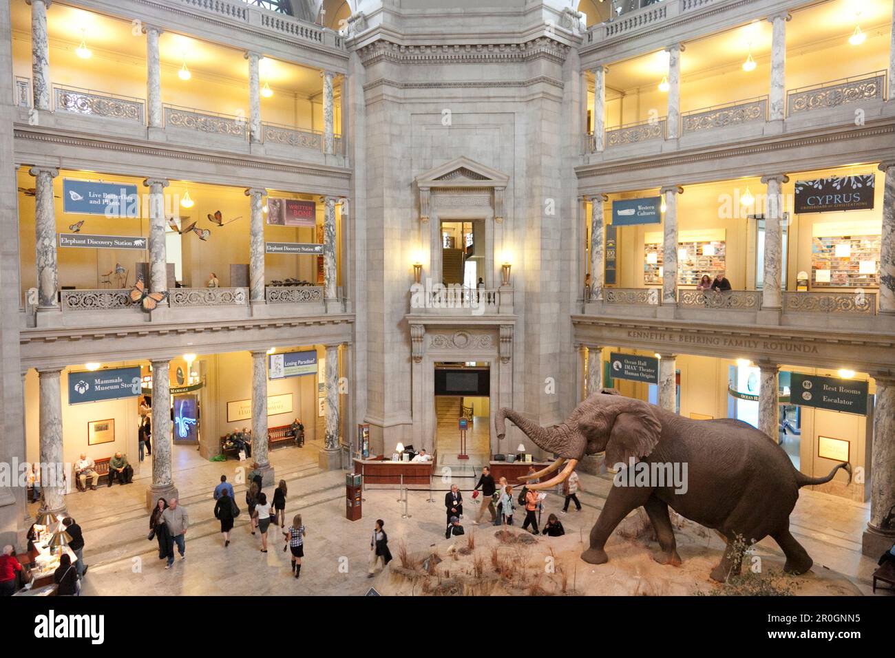 Entrance hall with elephant, tourists, National Museum of Natural ...