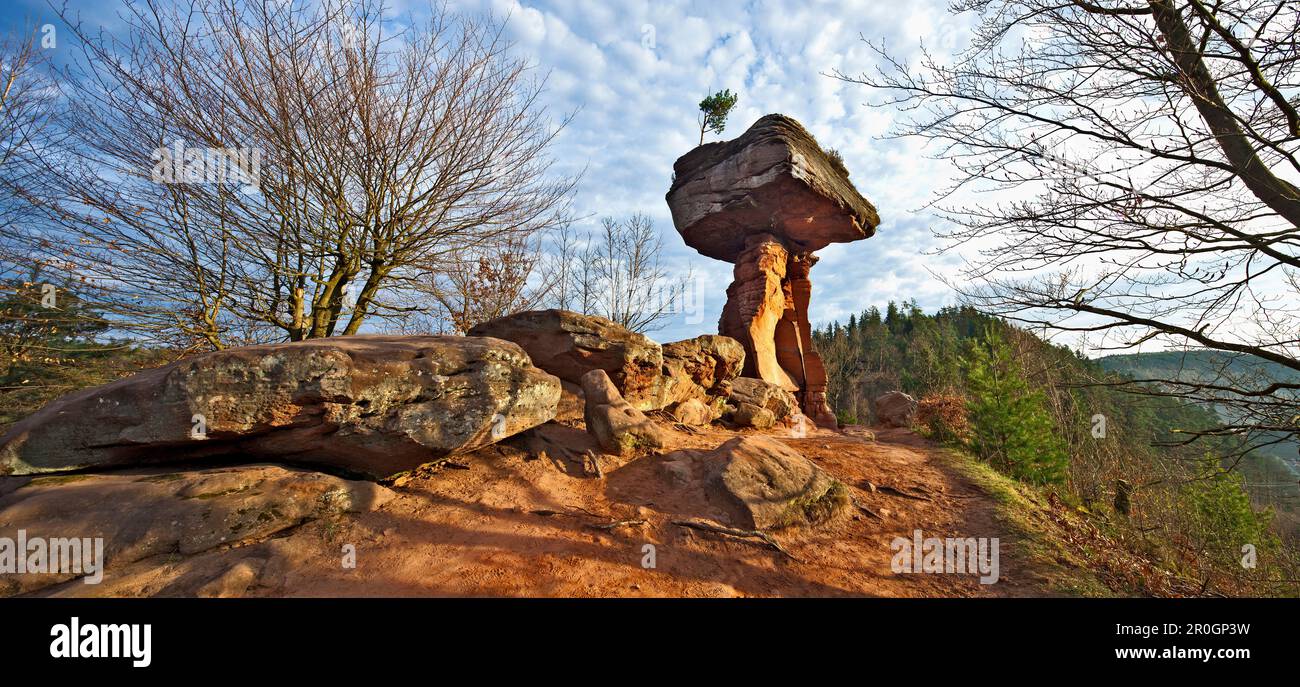 Natural monument Devil's Table near Hinterweidenthal, Rhineland ...