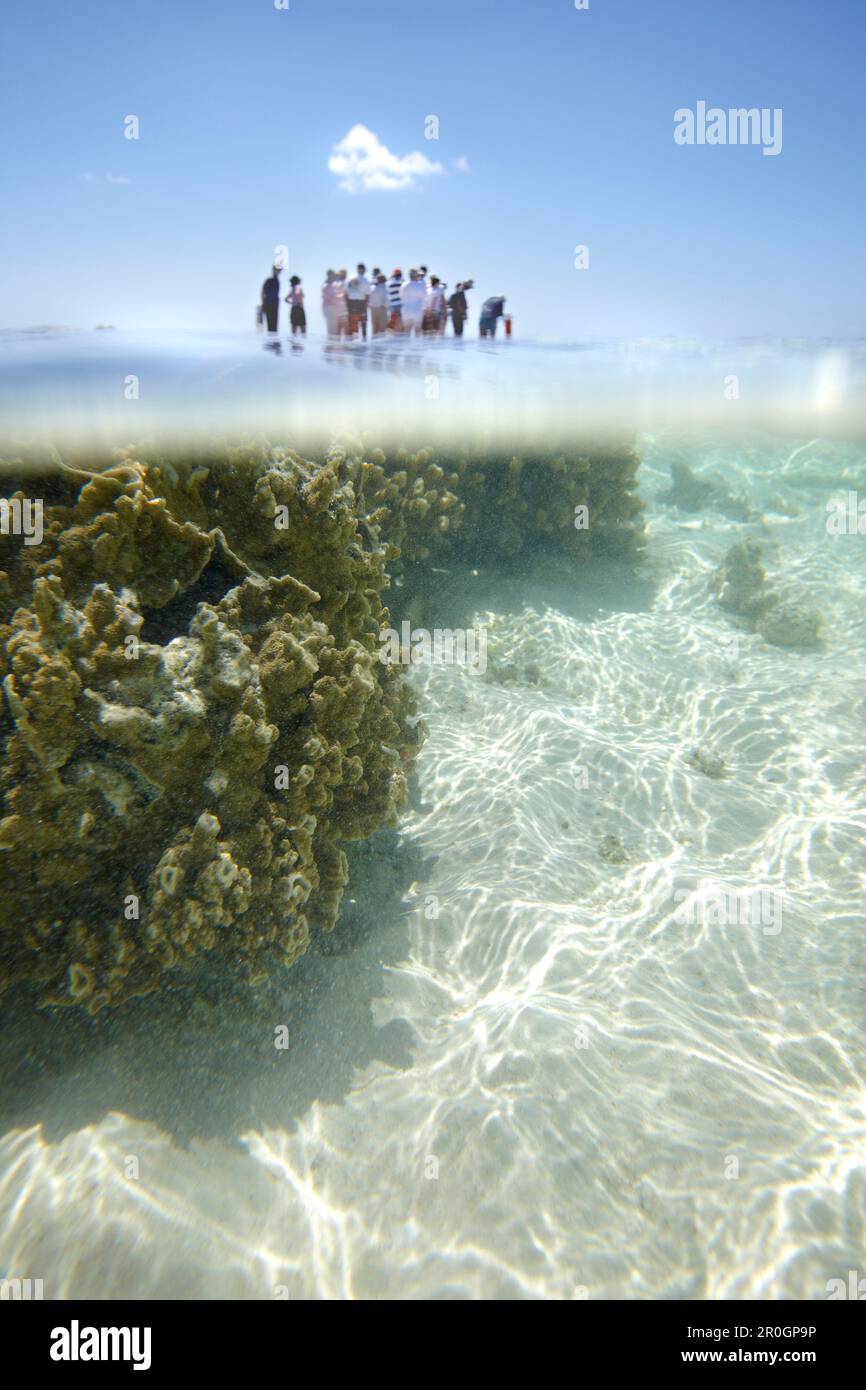 Reefwalk, Heron Island, eastern part is part of the Capricornia Cays ...