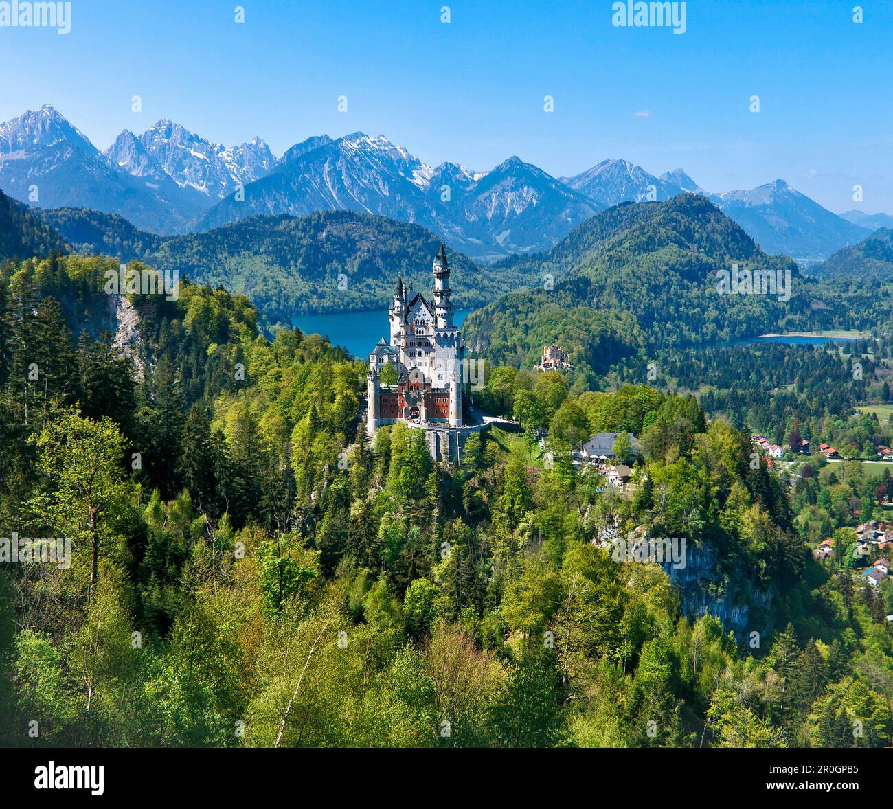 View of Neuschwanstein Castle with Tannheimer mountains in the ...