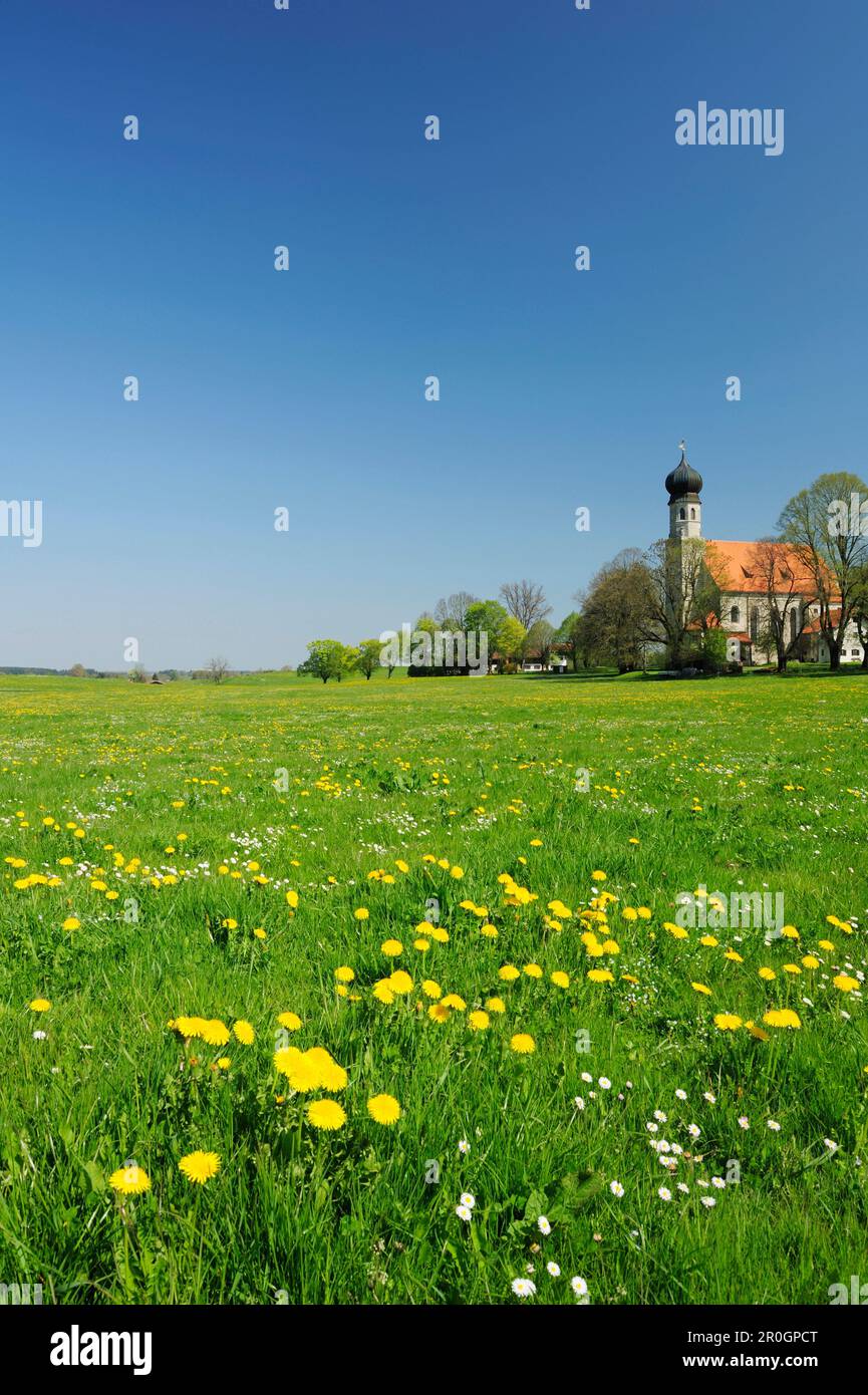 All Saints Church, Warngau, Upper Bavaria, Bavaria, Germany Stock Photo ...