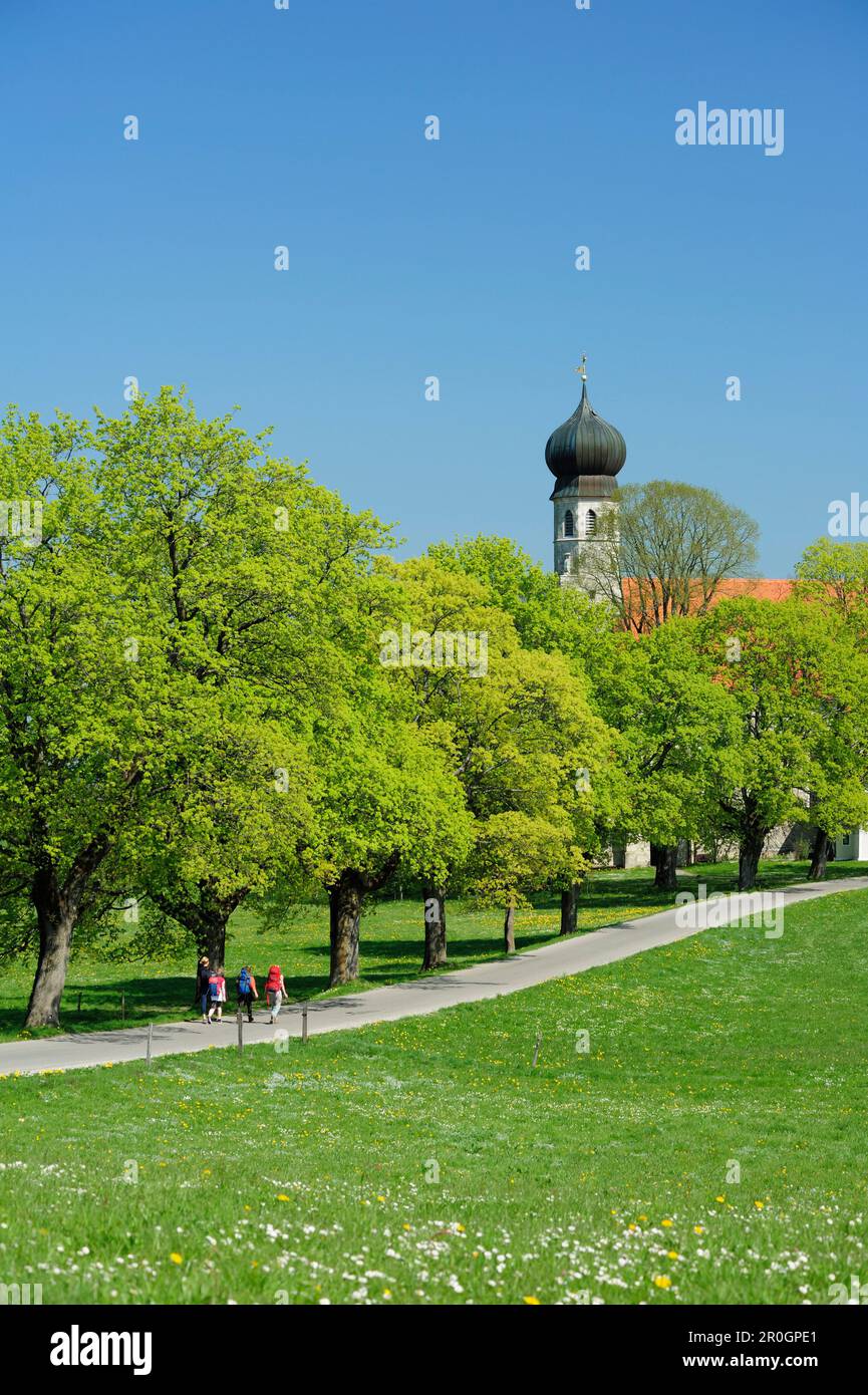 All Saints Church, Warngau, Upper Bavaria, Bavaria, Germany Stock Photo ...