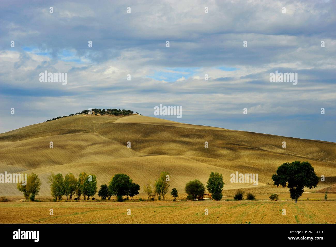Landscape of hills, Crete Senesi, Tuscany, Italy Stock Photo - Alamy