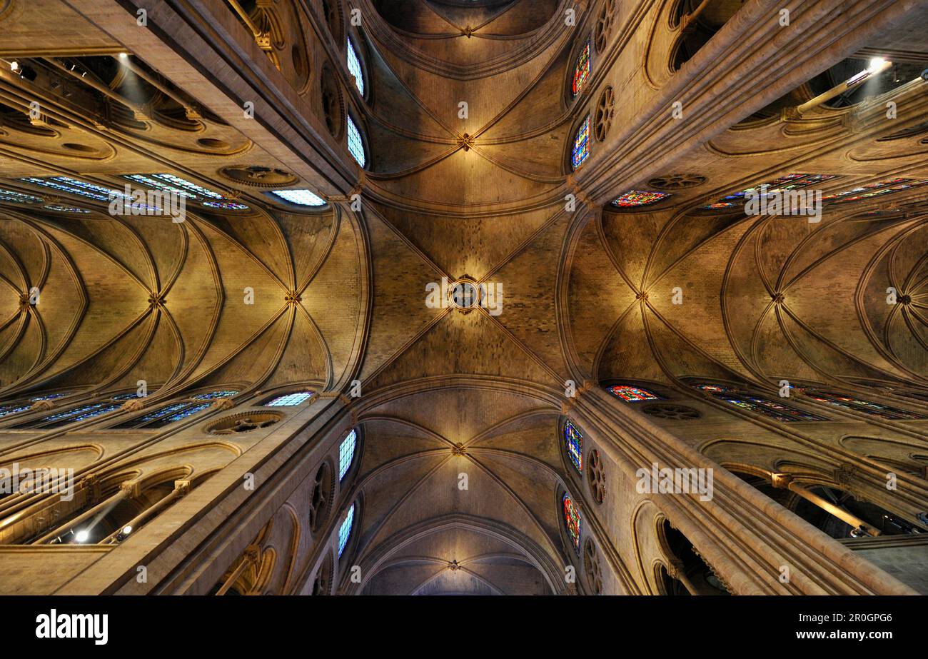 Ceiling, Notre Dame Cathedral, Paris, France Stock Photo - Alamy