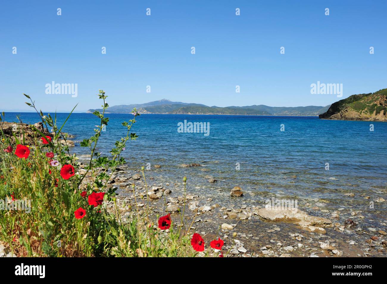 Mediterranean bay, Innamorata, Elba Island, Tuscany, Italy Stock Photo ...