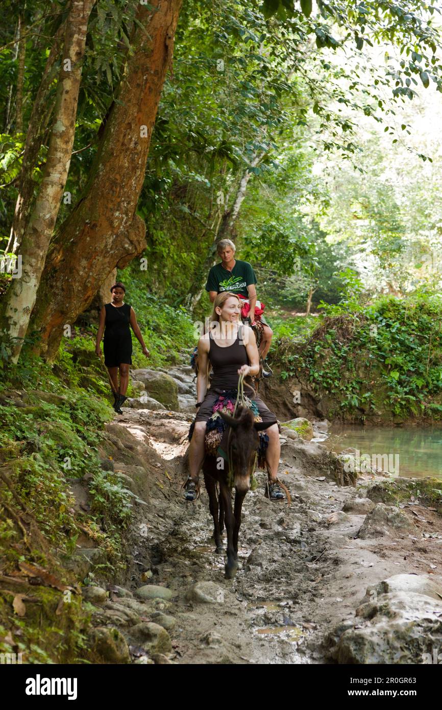 Horseback Tour to the Waterfall Cascada El Limon, Las Terrenas, Samana ...