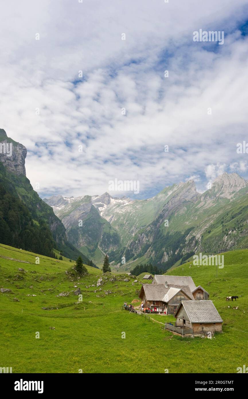 Alp with alpine hut at Seealpsee, Alpsteingebirge, Saentis, Appenzeller ...