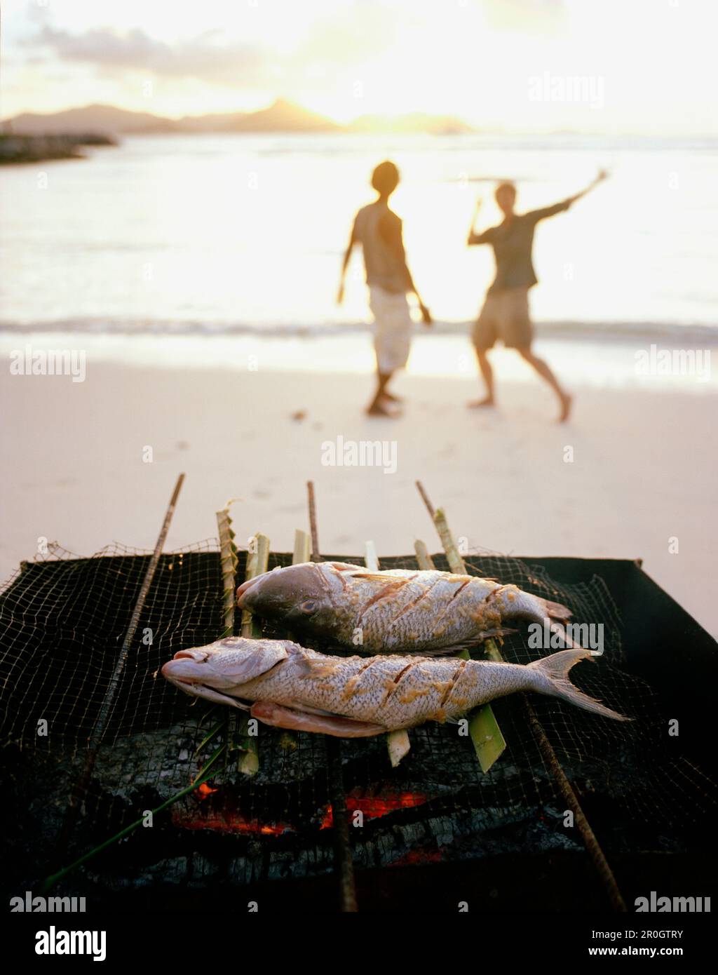Creole fish hi-res stock photography and images - Alamy
