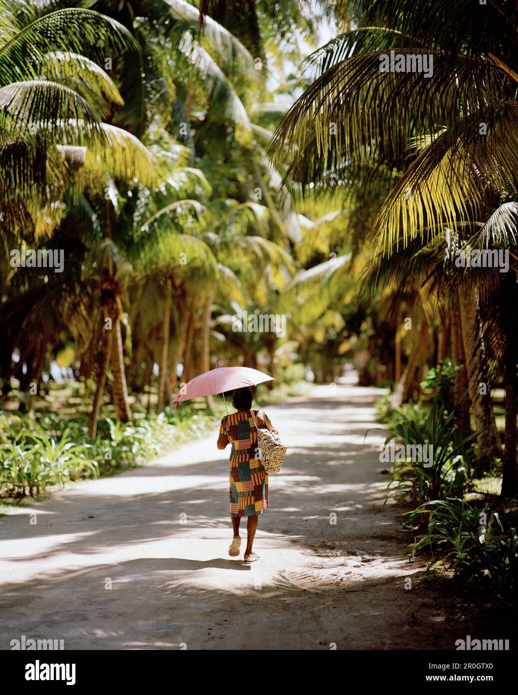 Woman walking through coconut tree plantation L'Union Estate, La Digue ...