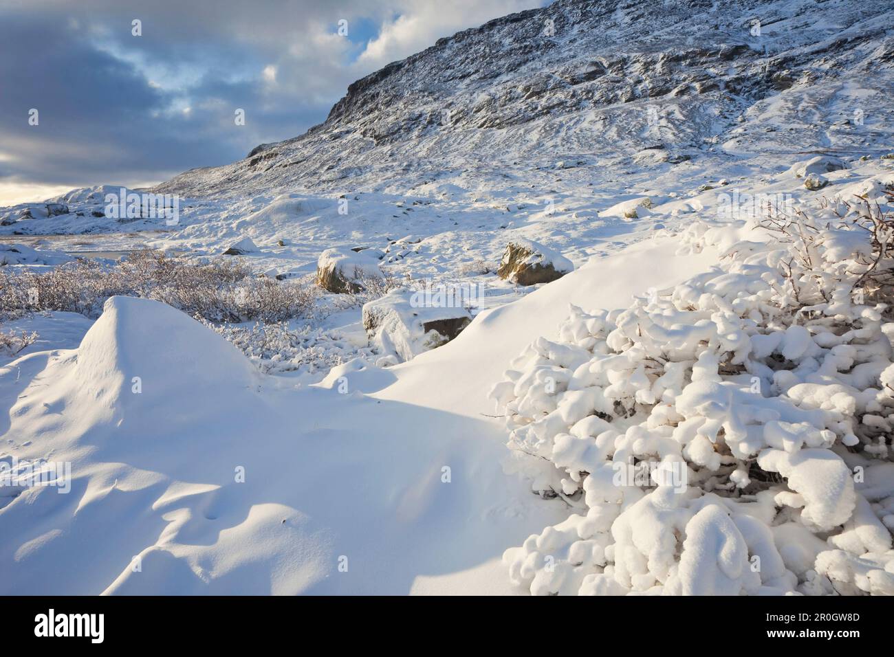Hardangervidda Vinter