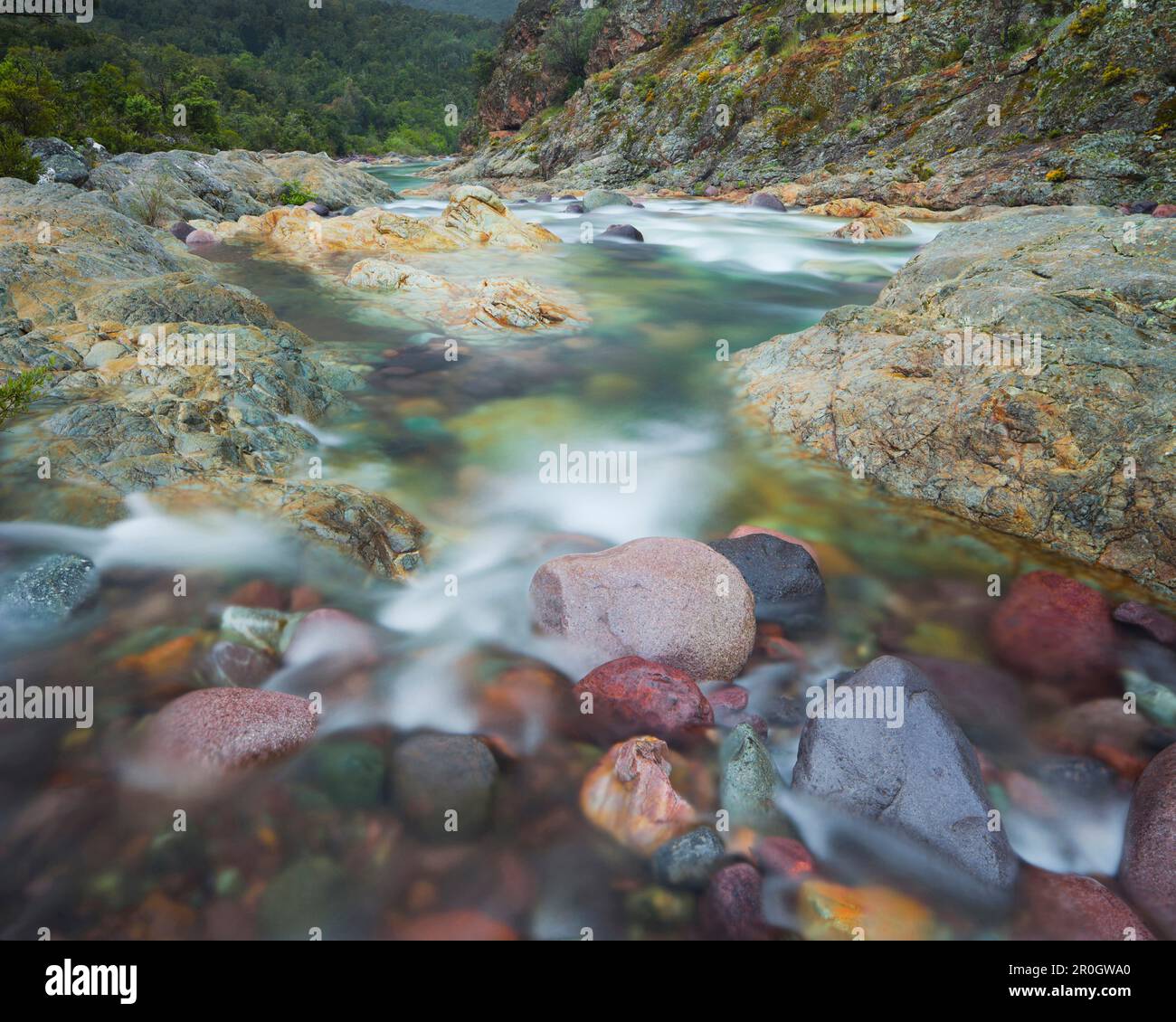 Smooth bodies hi-res stock photography and images - Alamy